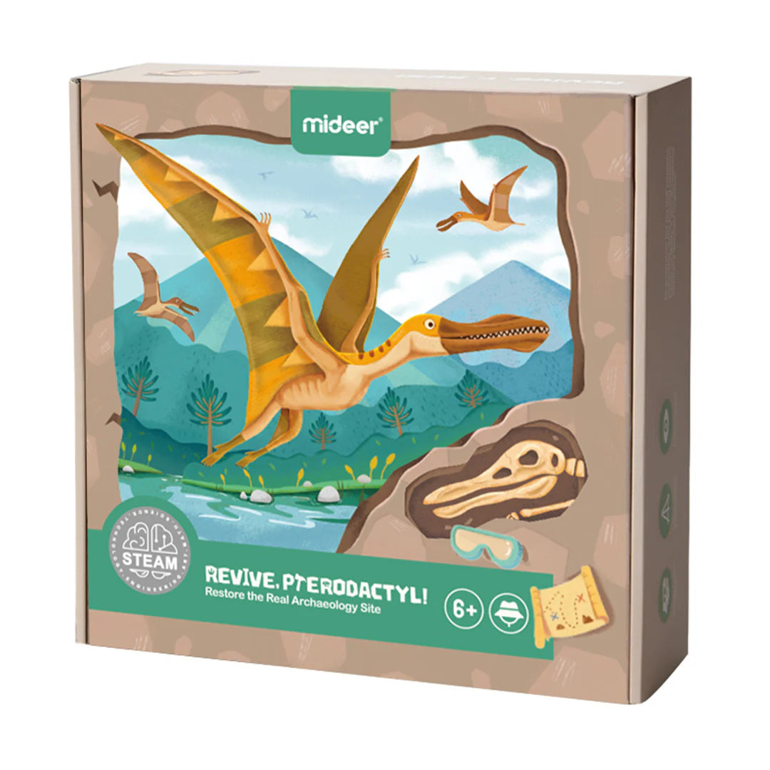 Mideer - Dinosaur Fossil Dig Kit - Revive, Pterodactyl! – HeyKids Australia